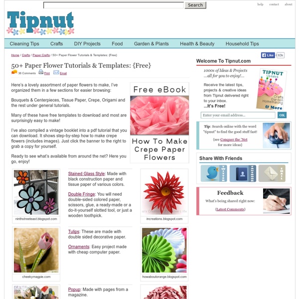 Paper Flower Tutorials & Templates | Pearltrees Paper Flower Tutorials & Templates | Pearltrees