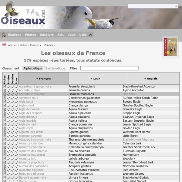 Les oiseaux de France | Pearltrees Les oiseaux de France | Pearltrees